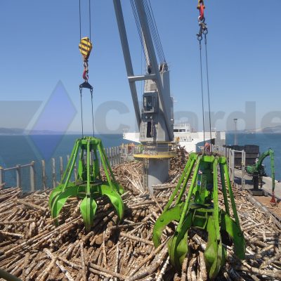 Handymax, Supramax, Ultramax – Chardell