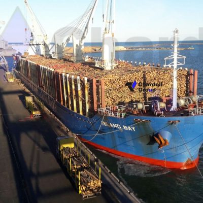 Handymax, Supramax, Ultramax – Chardell