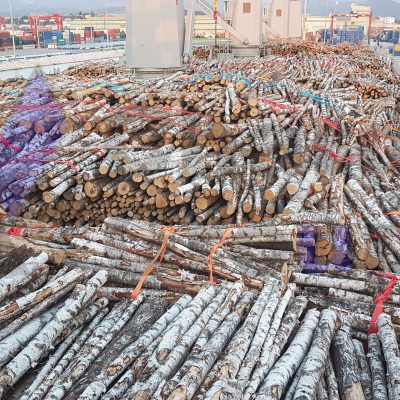 Handymax, Supramax, Ultramax – Chardell